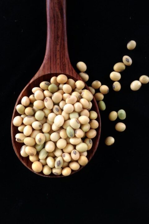 Deforestation soybeans – Sustainable Planet